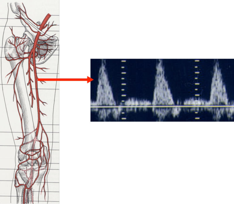 Nuova collaborazione in Angiologia con il Dott. Giuliano Colliva ...